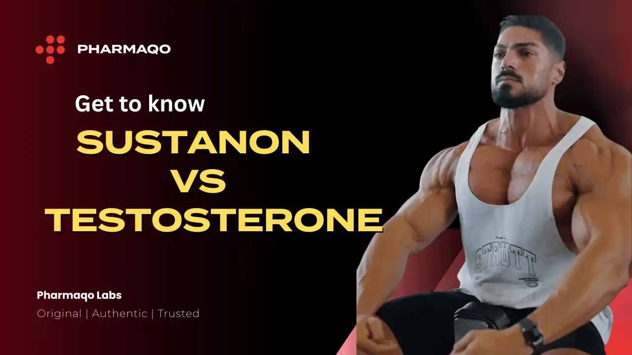 Sustanon vs Testosterone | Differences, Benefits & Uses