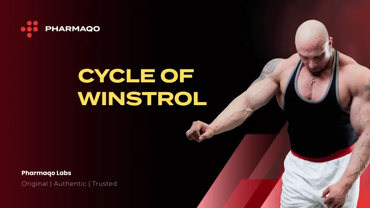 Powerful Winstrol Cycle: Unlock Your Peak Performance | Pharmaqo Labs